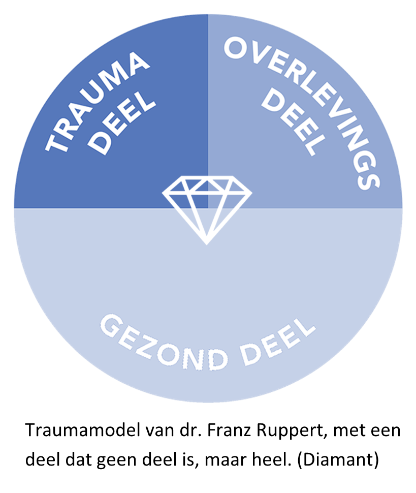 Traumaverwerking - Denkpunt l 3 principes l traumaverwerking